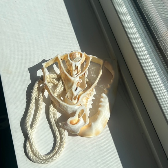 Vintage | Jewelry | Vintage Statement Conch Shell Necklace | Poshmark